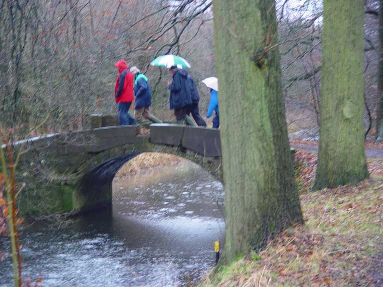 Regen in het Kromme Rijn gebied